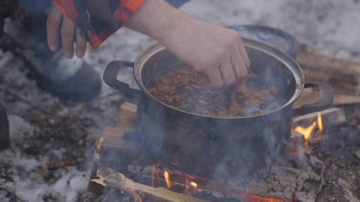 Chaga Mushrooms – Untamed Feast Inc.