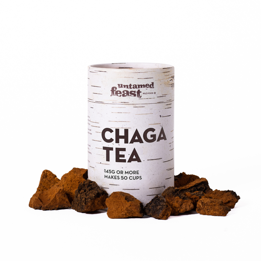 Chaga Mushroom Tea – Untamed Feast Inc.